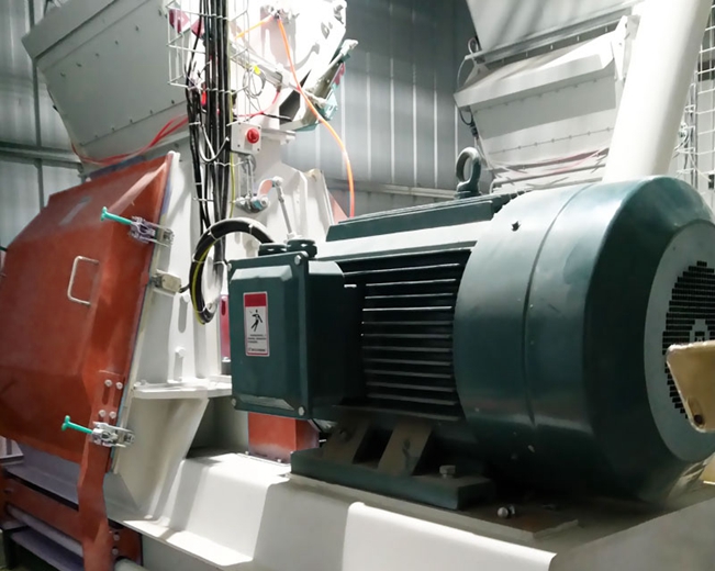 Animal Feed Production Line