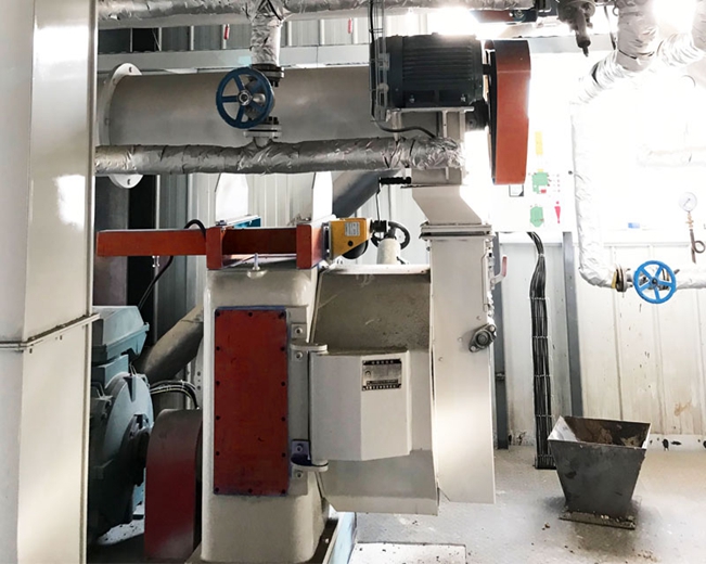 Animal Feed Production Line